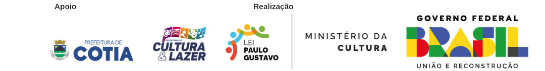 GUIA PRÁTICO DE COMO USAR AS LOGOMARCAS DA LEI PAULO GUSTAVO – Cultura